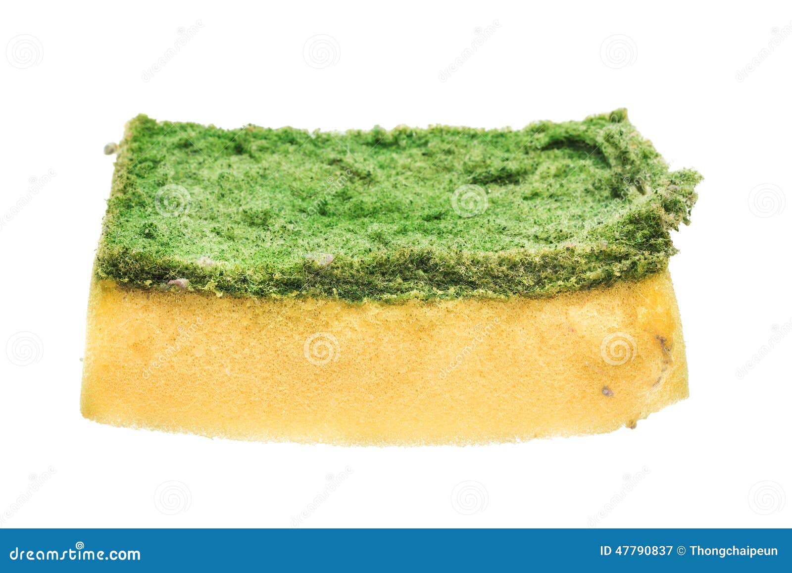 Old dirty sponge stock image. Image of isolated, used - 47790837