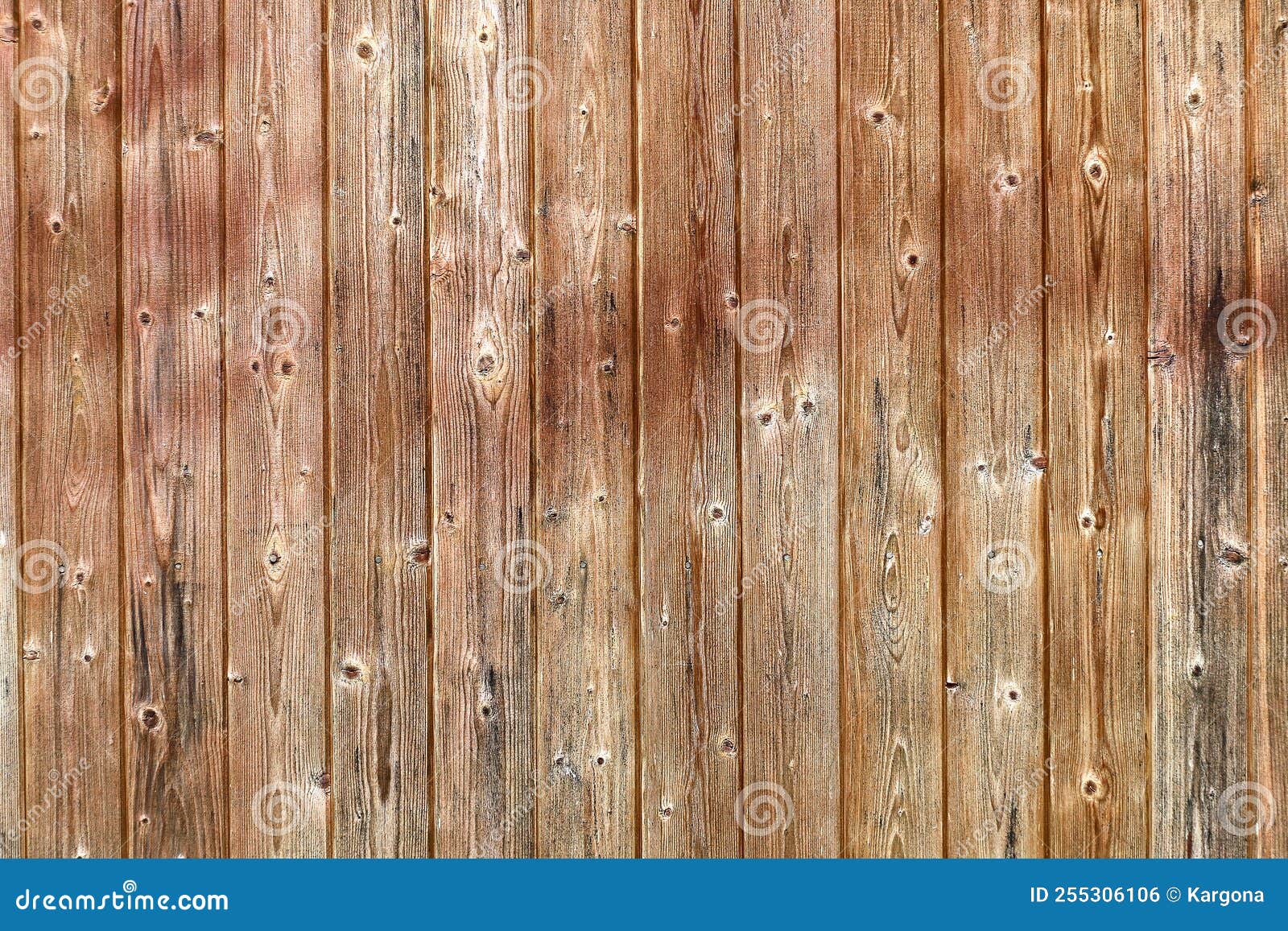 Old and Dirty Wall Made of the Wooden Panels with Multiple Knots As a ...
