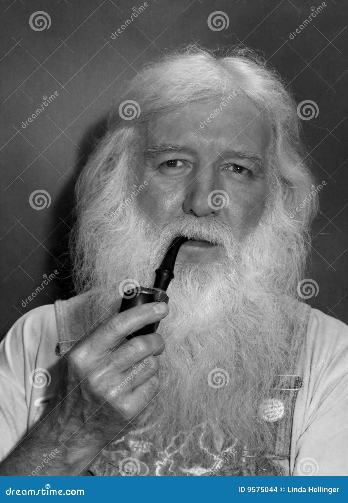Old Distinguished Man stock photo. Image of hair, smoking - 9575044