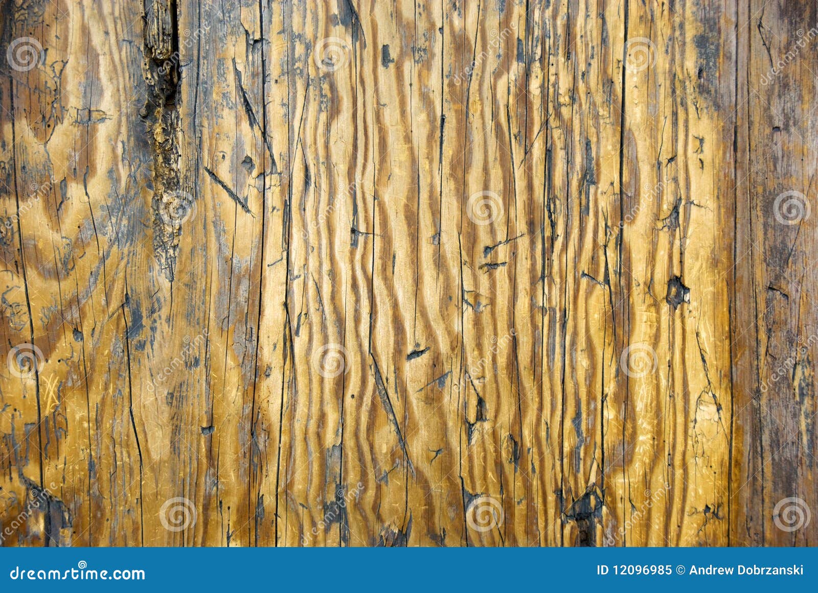 Old Distressed Wood stock image. Image of softwood, patina - 12096985