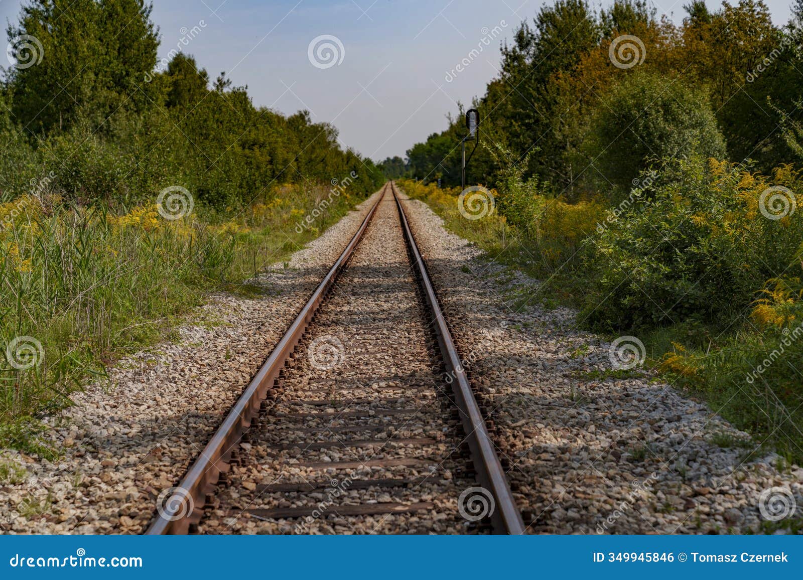 Old Disused Railway Tracks Running through the Forest Stock Photo ...