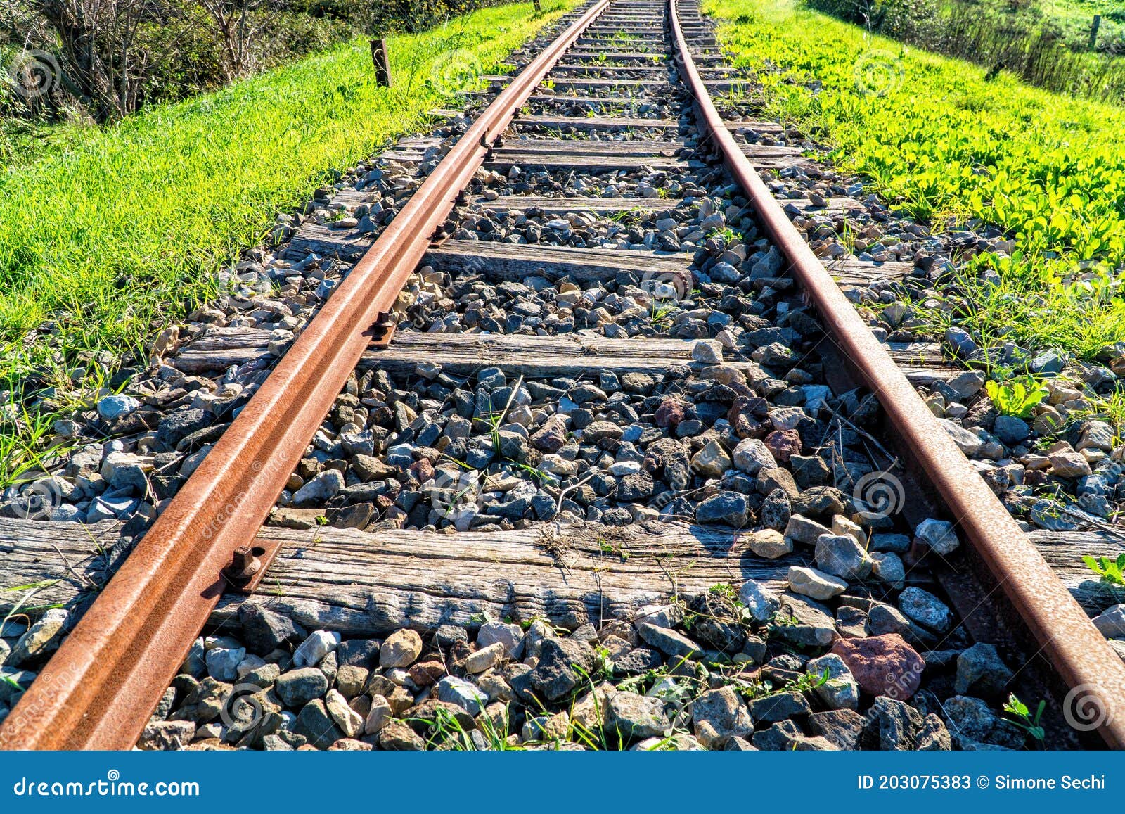 Old Disused Railway Tracks Surrounded by Green Nature Stock Image ...