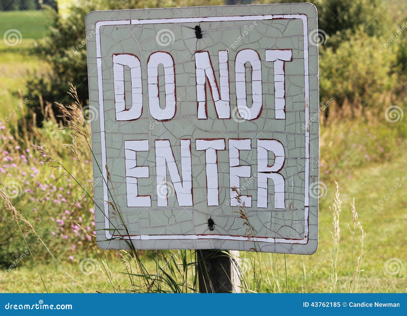 Old Do Not Enter Sign stock image. Image of stop, green - 43762185