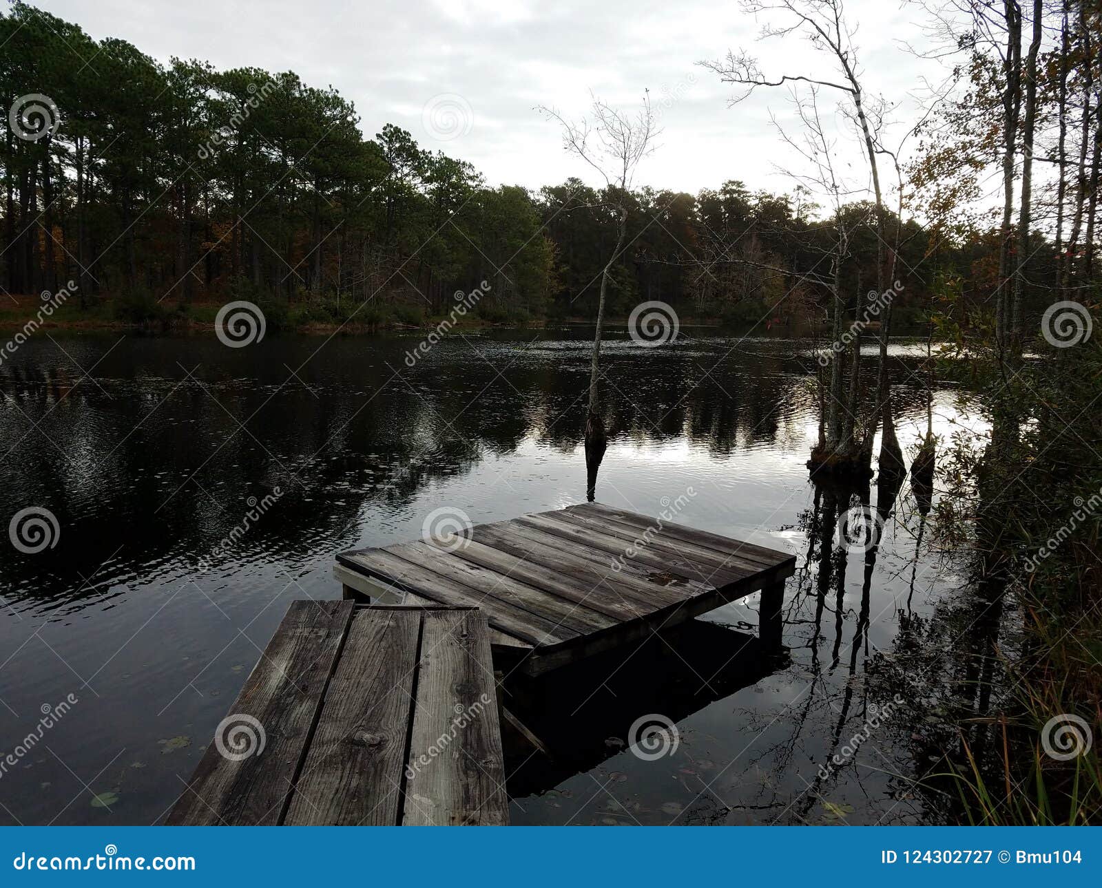 Old dock stock image. Image of park, lake, nature, dock - 124302727