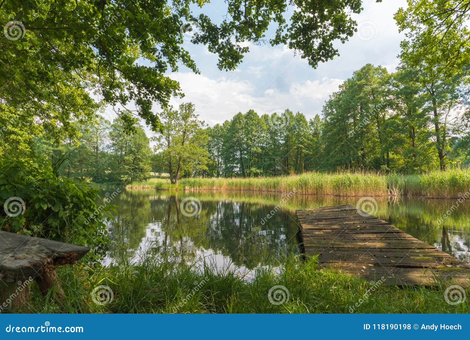 The old dock on the pond stock photo. Image of landing - 118190198