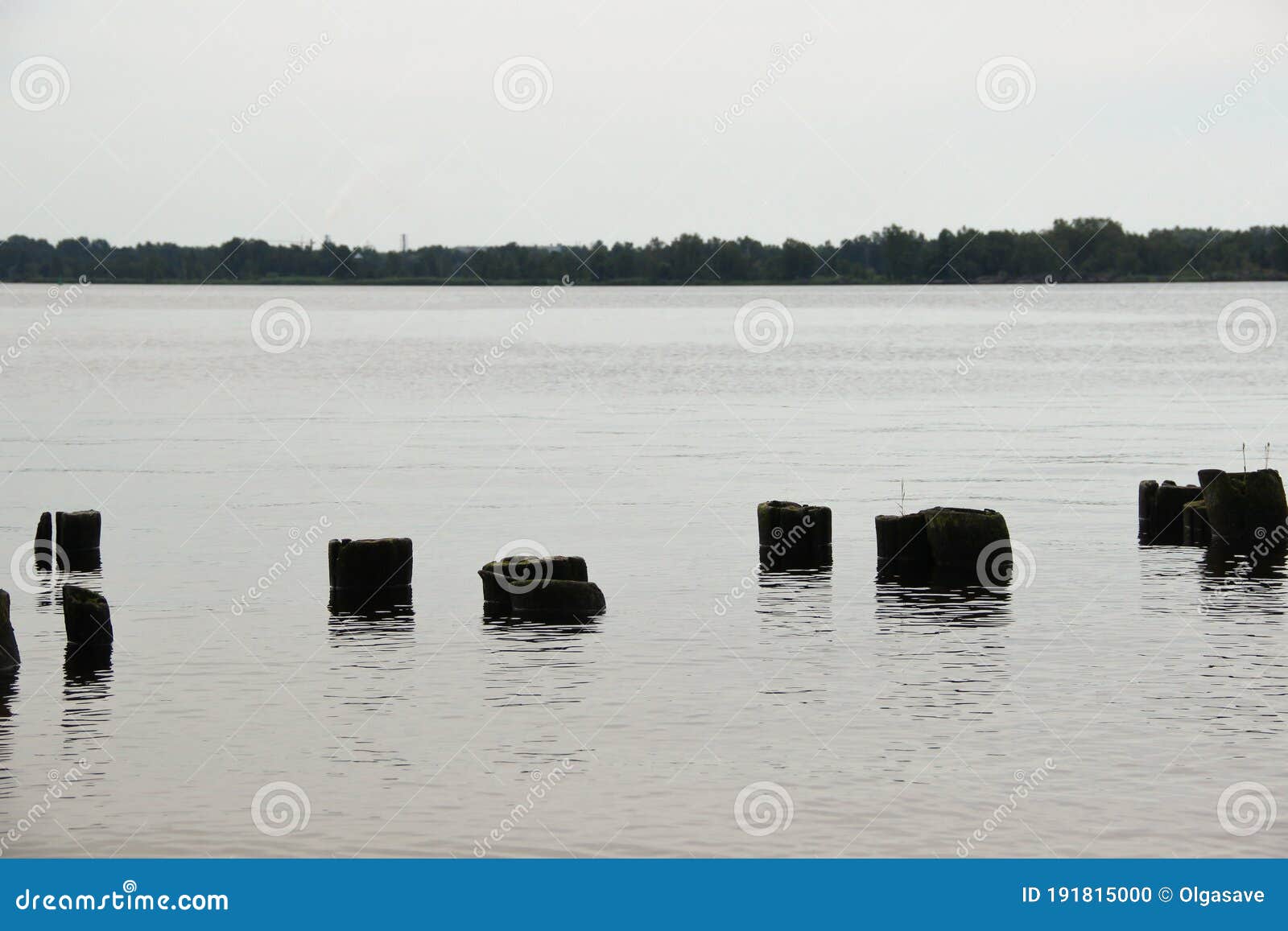 Old Dock Pylons Stand Outside the Water Stock Photo - Image of pier ...