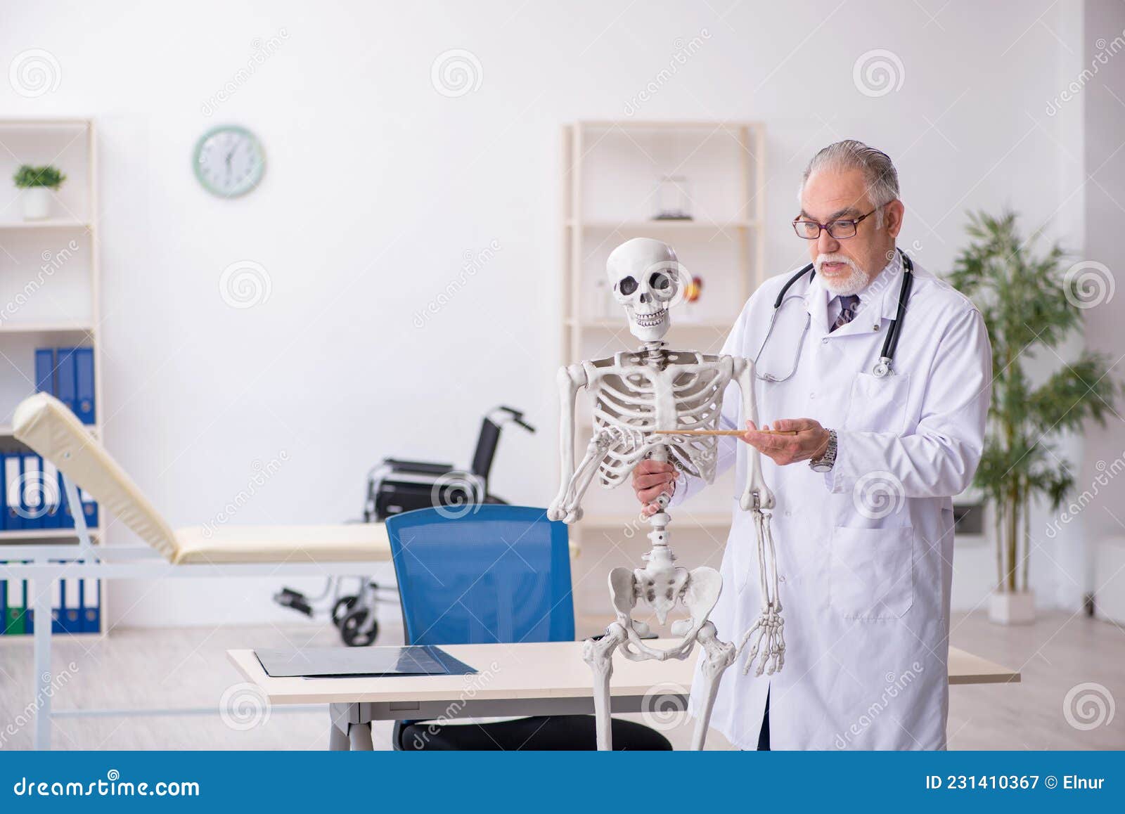 Old Male Doctor Demonstrating Human Skeleton Stock Image - Image of ...