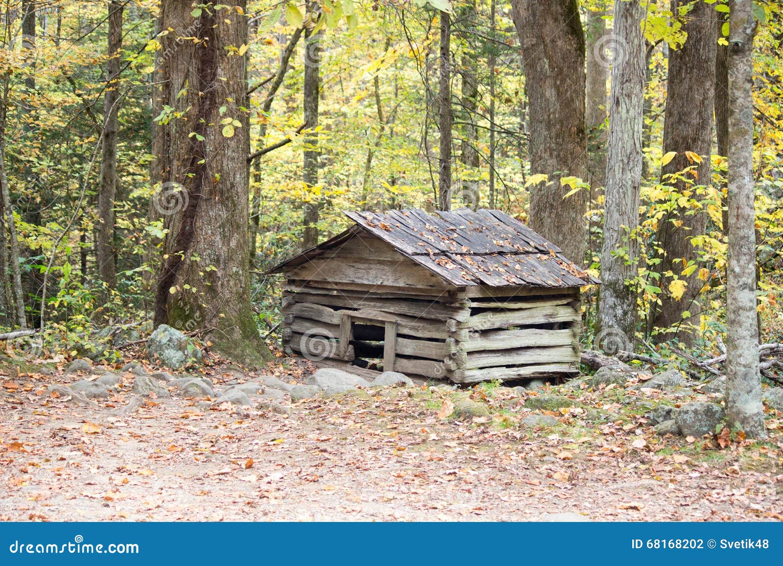 Old dog house in forest stock photo. Image of leaves - 68168202