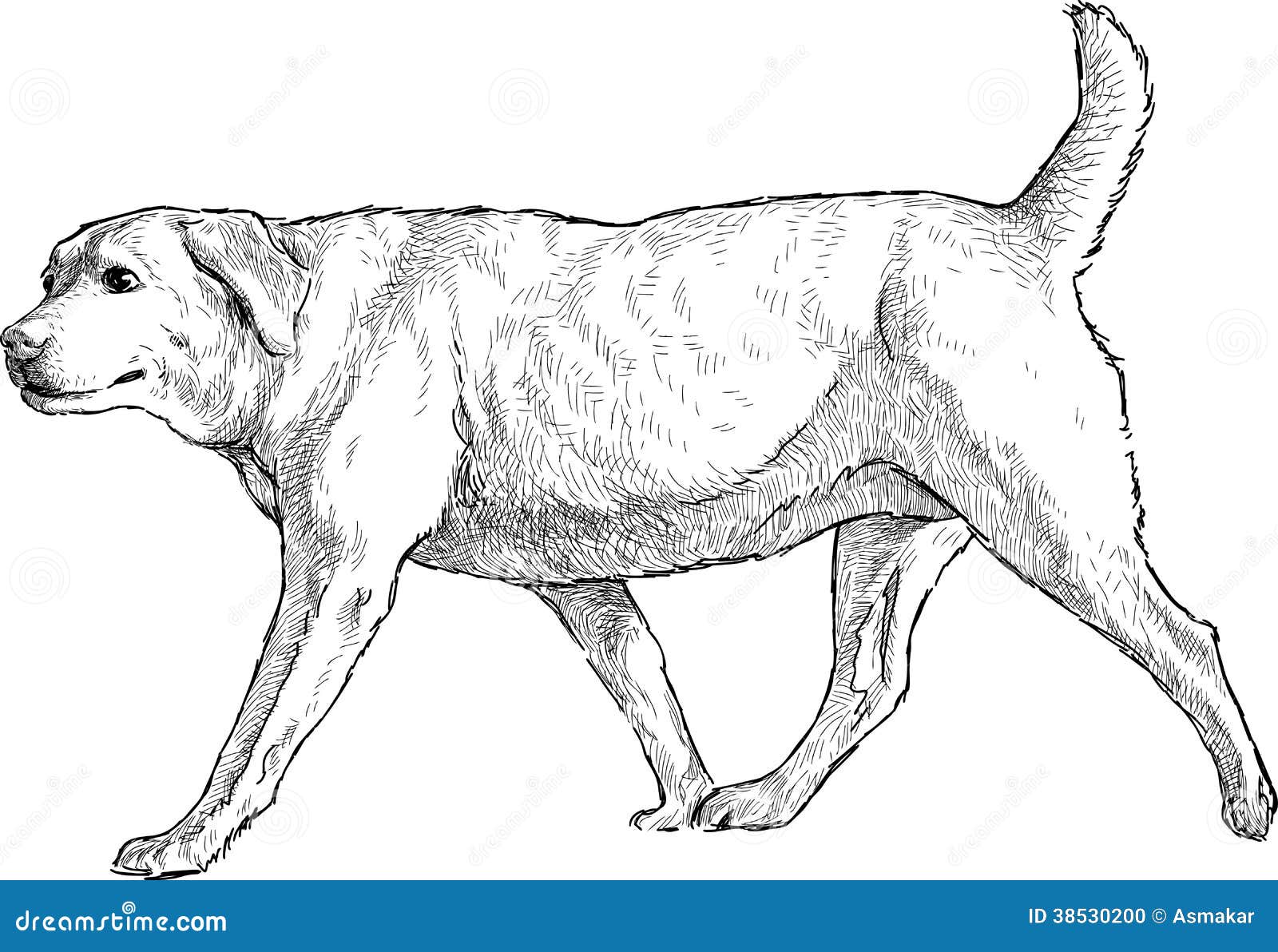 Old dog stock vector. Illustration of hand, side, drawn - 38530200