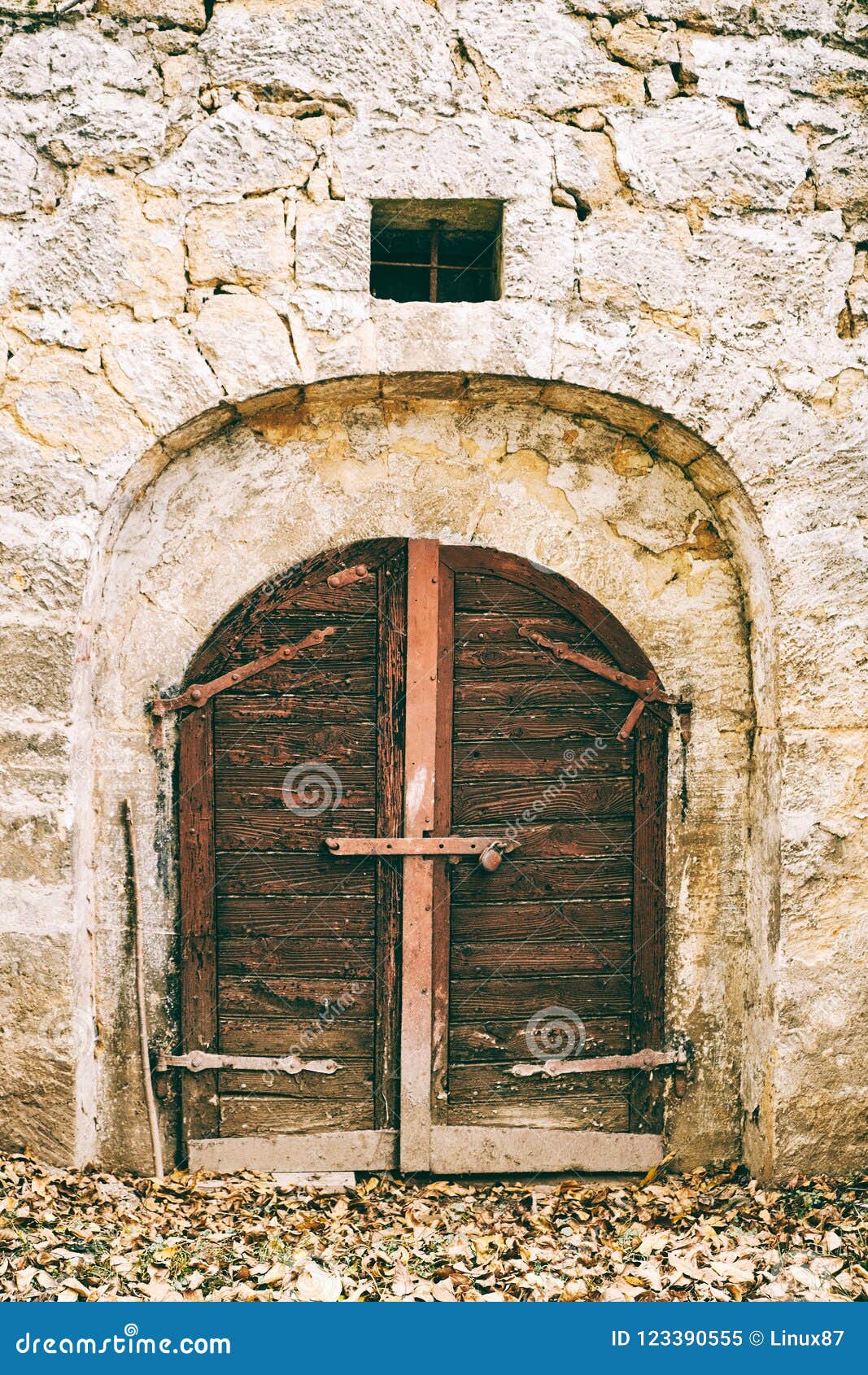 Old cellar door stock image. Image of closed, grape - 123390555