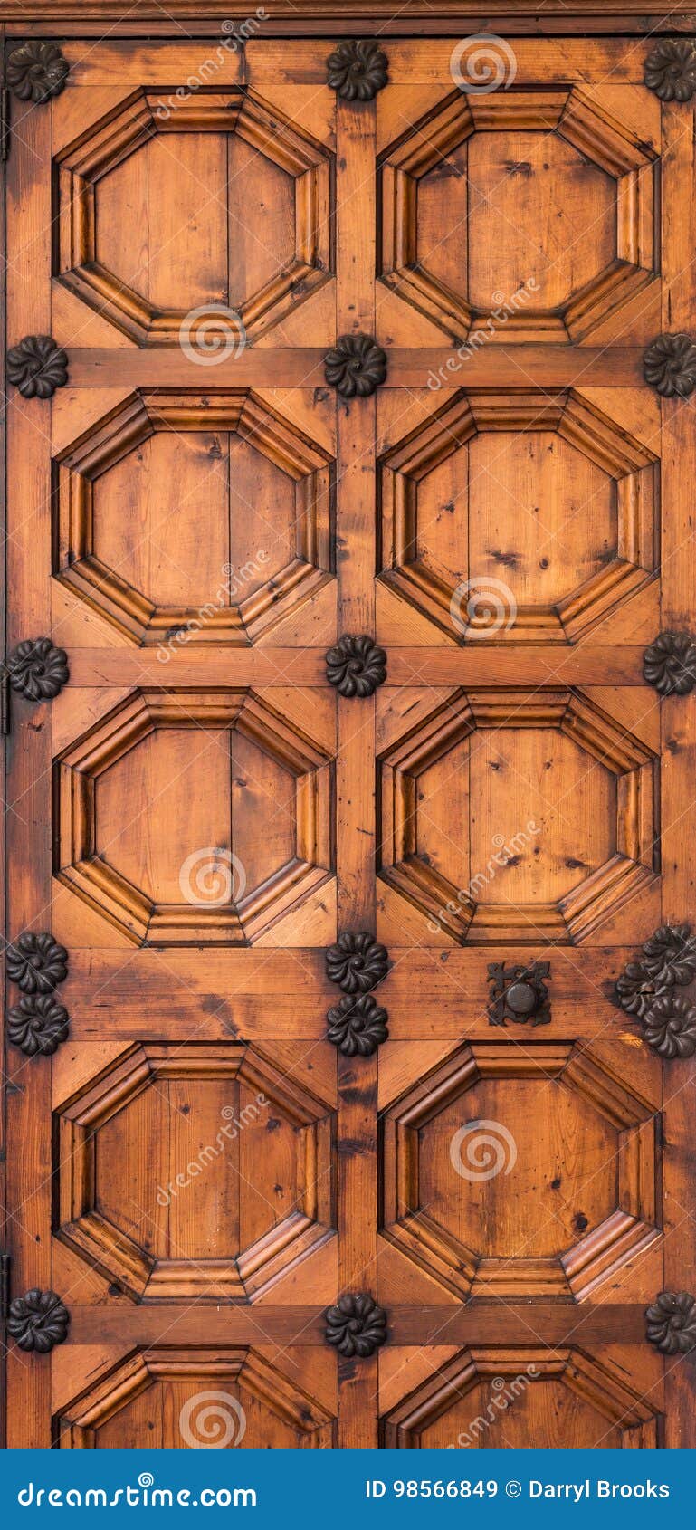 Old Door with Octagonal Panels Stock Image - Image of detail, rustic ...