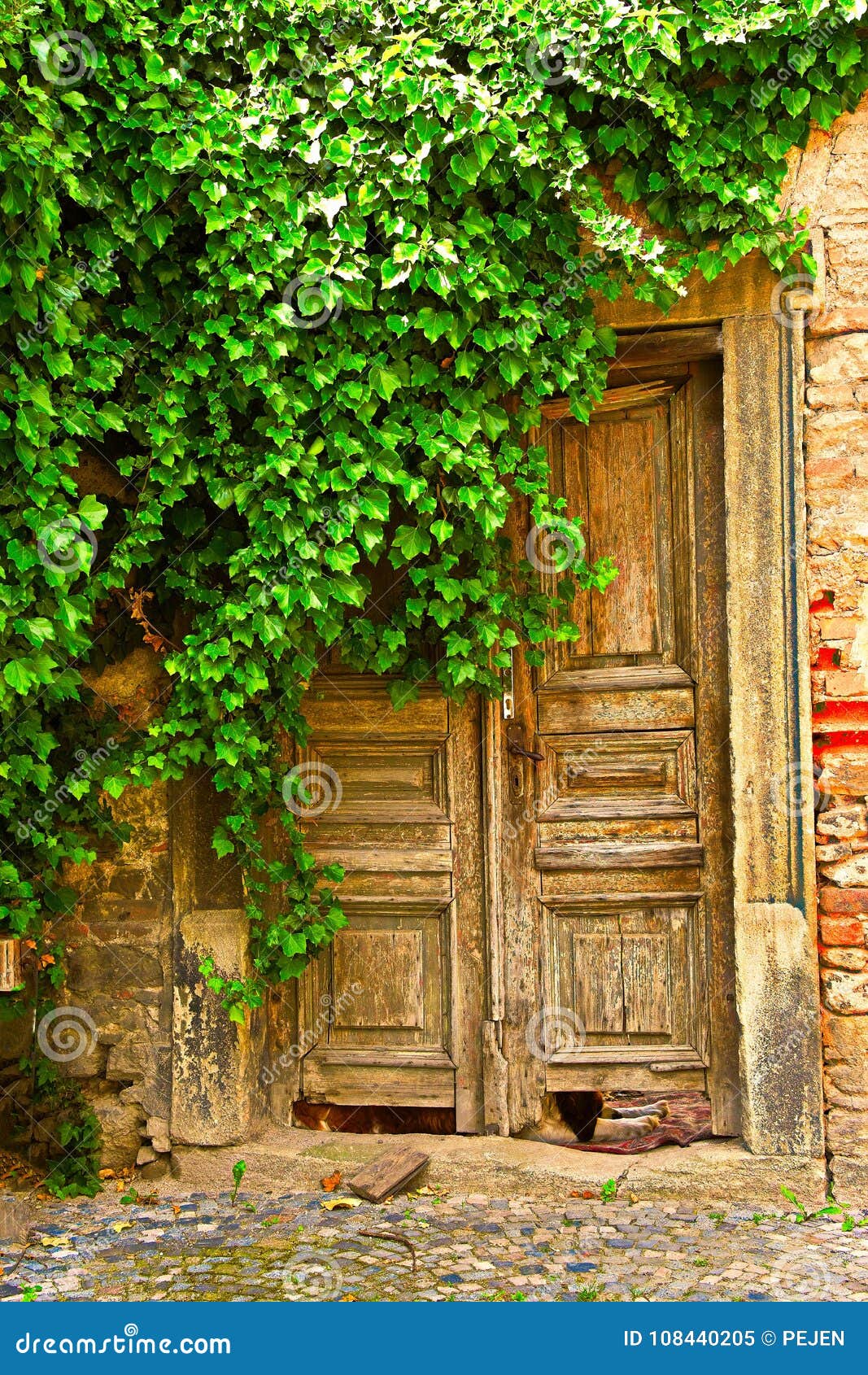Old Doors Under Tree - Colored Stock Image - Image of wall, brown ...
