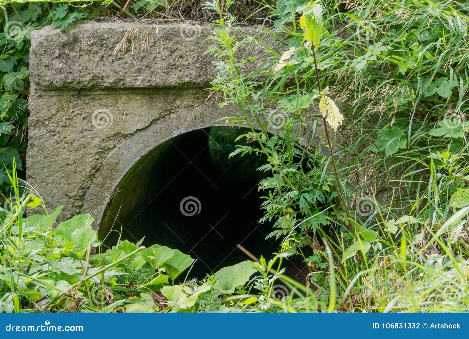 Old Drain Pipe Picture. Image: 106831332