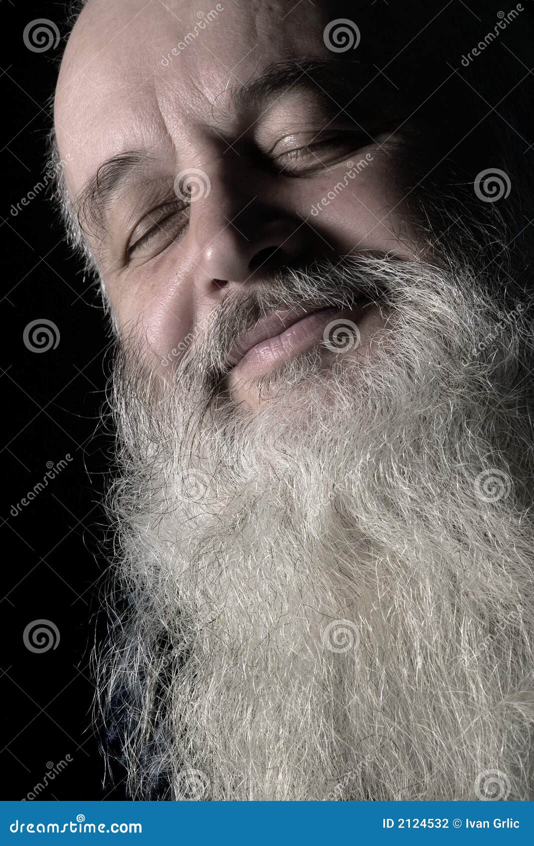 Old Dreamer with Grand Barb Stock Photo - Image of prudent, mister: 2124532