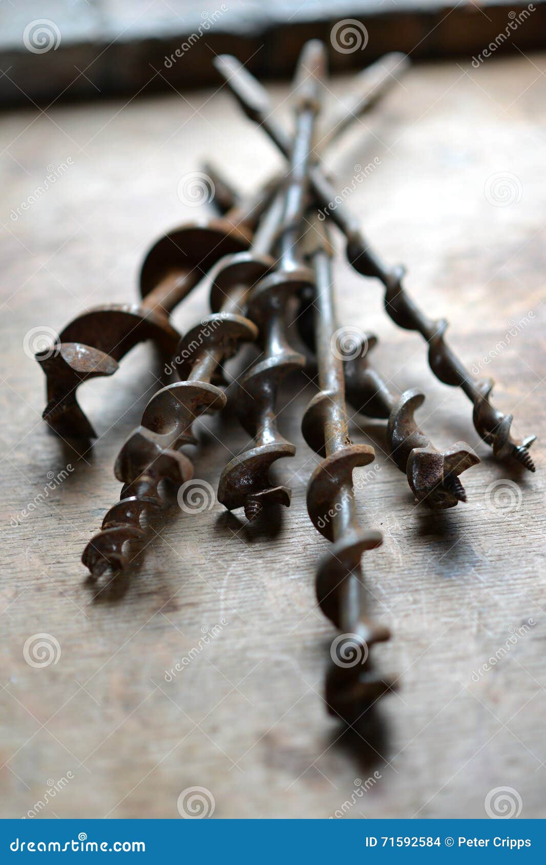 Old drills stock photo. Image of rusty, bits, craftsman - 71592584
