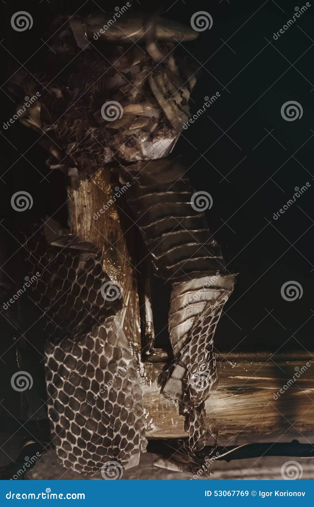 Old dropped snake skin stock image. Image of flap, branches - 53067769