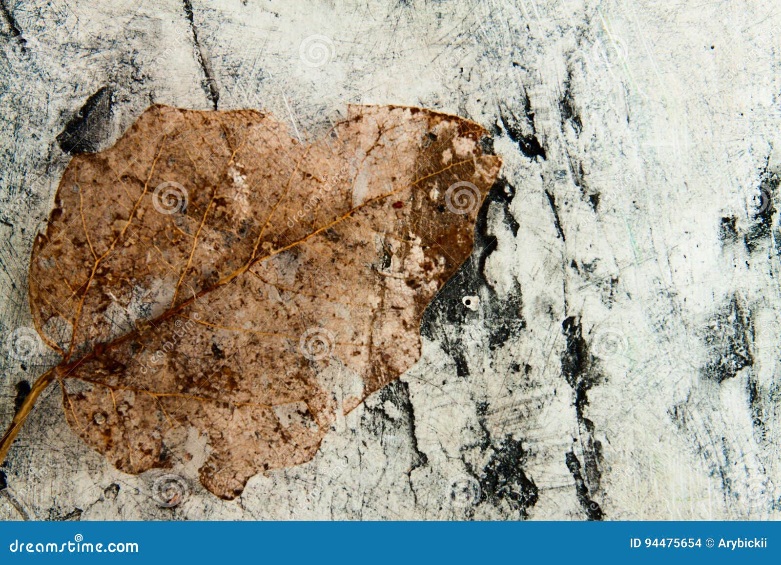 Old dry leaves stock photo. Image of flora, design, grunge - 94475654