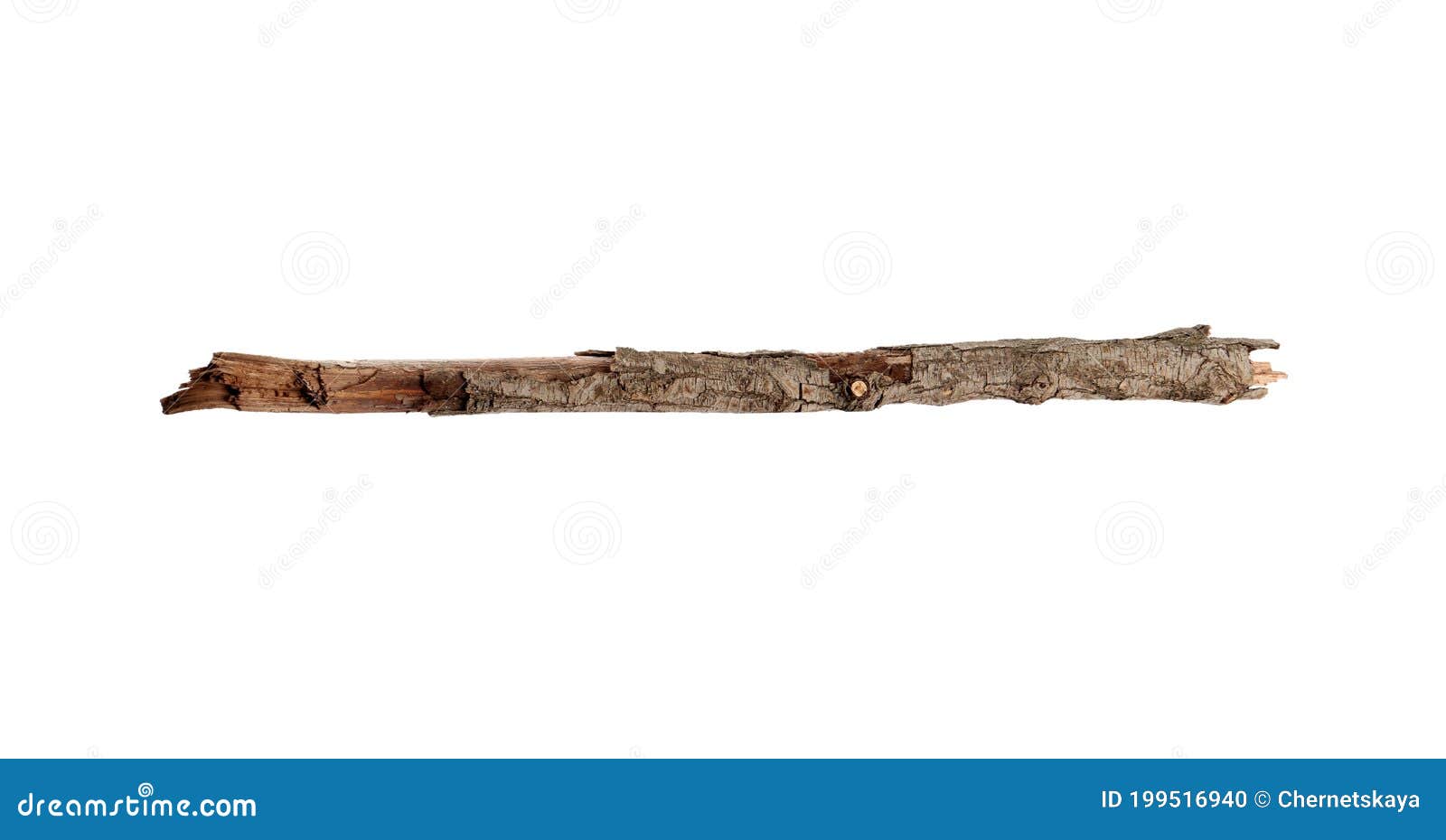 Old Dry Tree Branch Isolated on White Stock Photo - Image of dead, snag ...