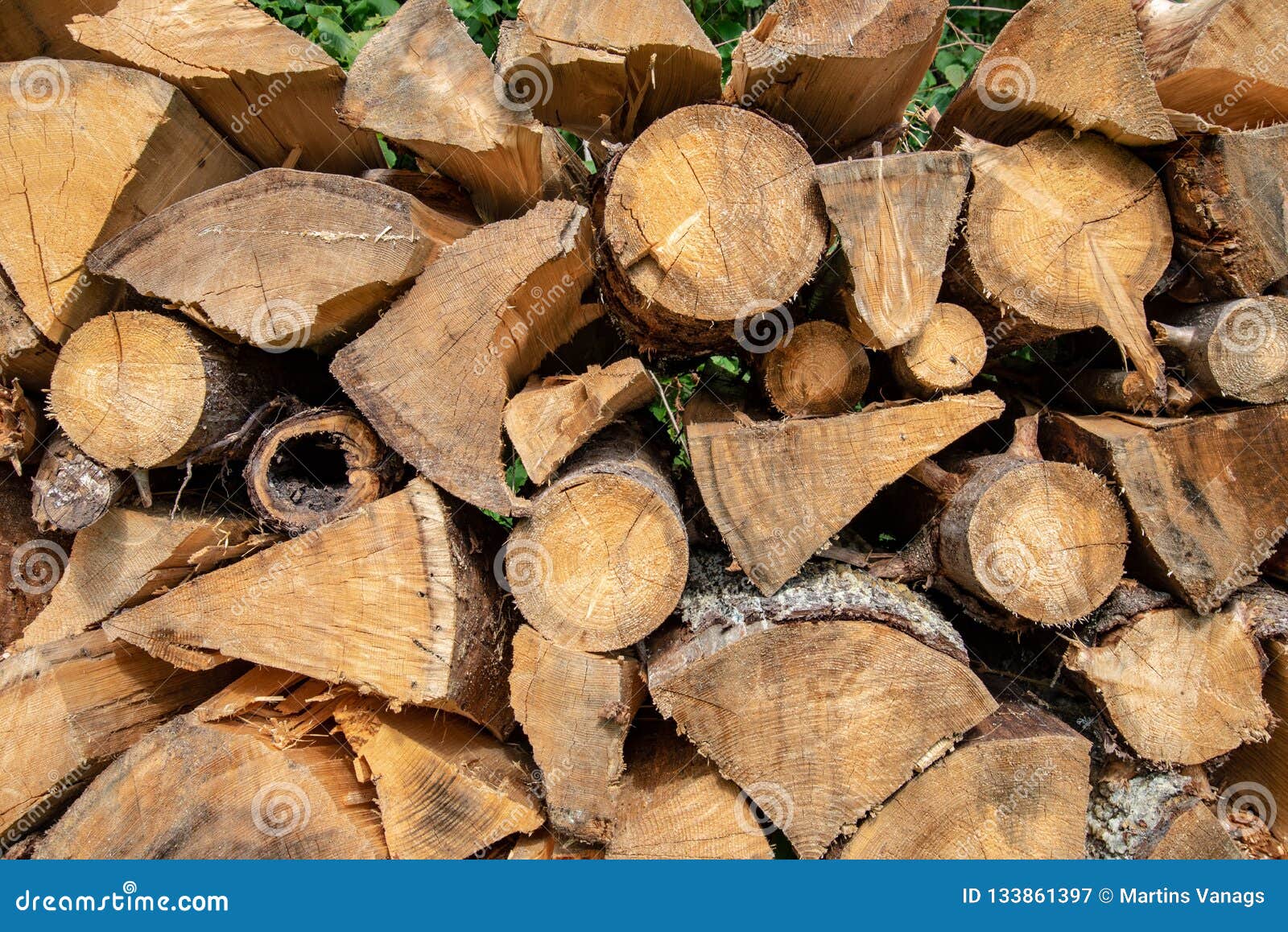 Old Dry Tree Trunk Stomp Texture with Bark Stock Image - Image of stomp ...