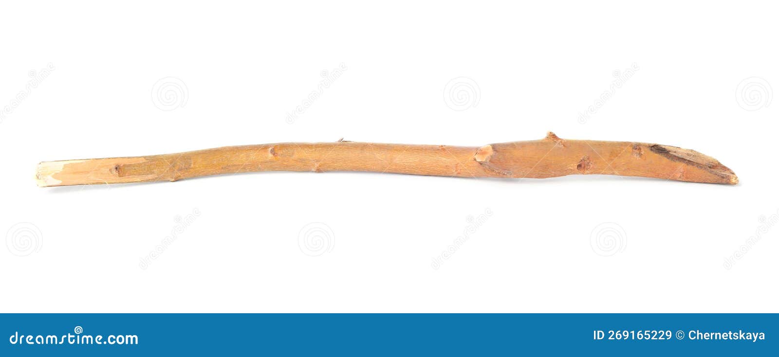 Old Dry Tree Twig Isolated on White Stock Image - Image of natural ... Old Dry Tree Twig Isolated on White Stock Image - Image of natural ...