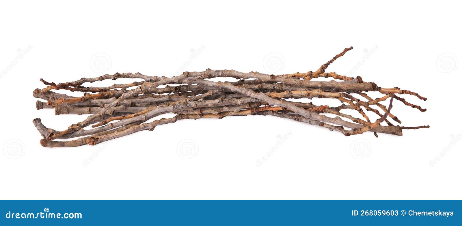 Old Dry Tree Twigs Isolated on White Stock Image - Image of nature ... Old Dry Tree Twigs Isolated on White Stock Image - Image of nature ...