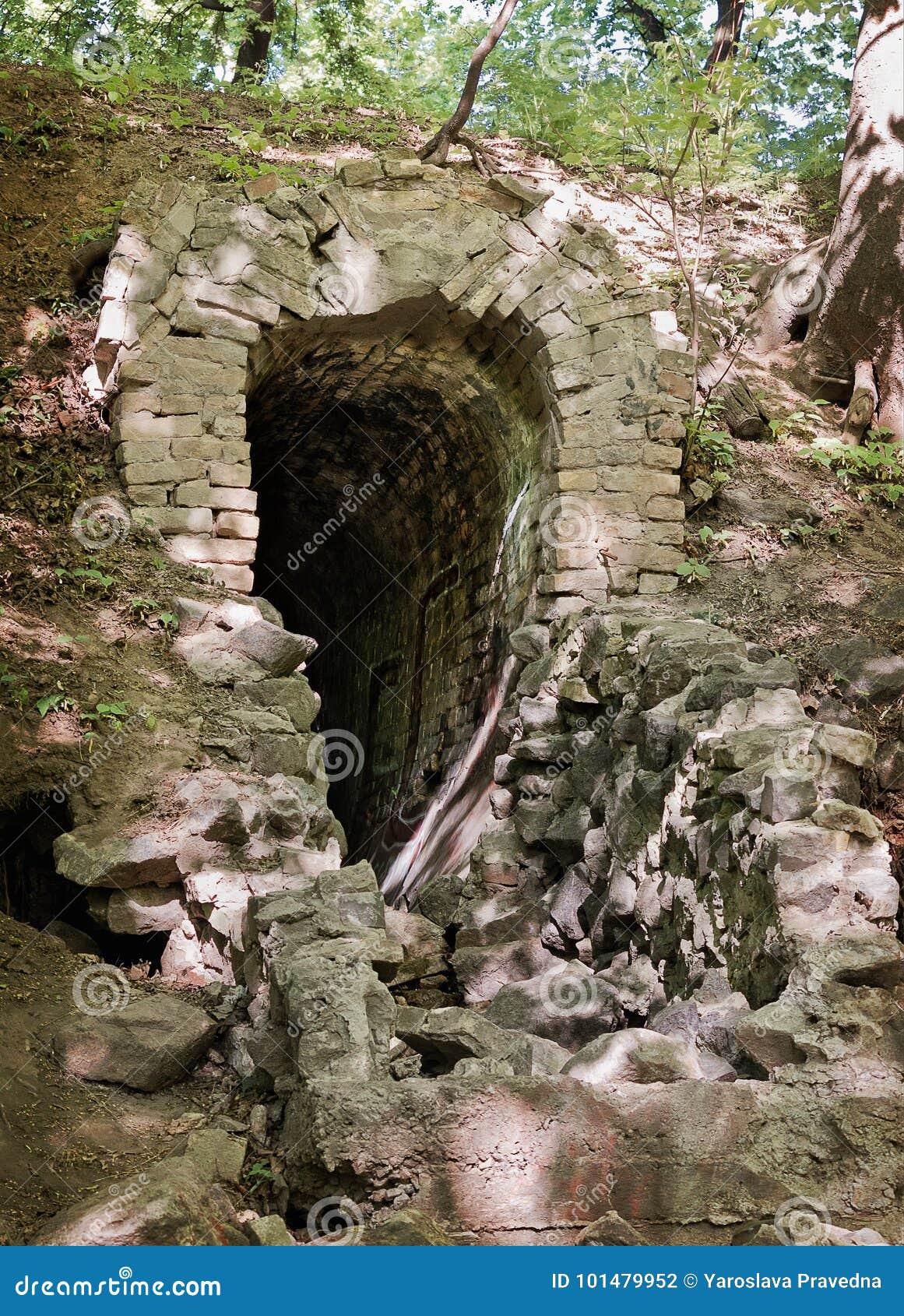Old dungeon stock photo. Image of wall, mountain, forest - 101479952