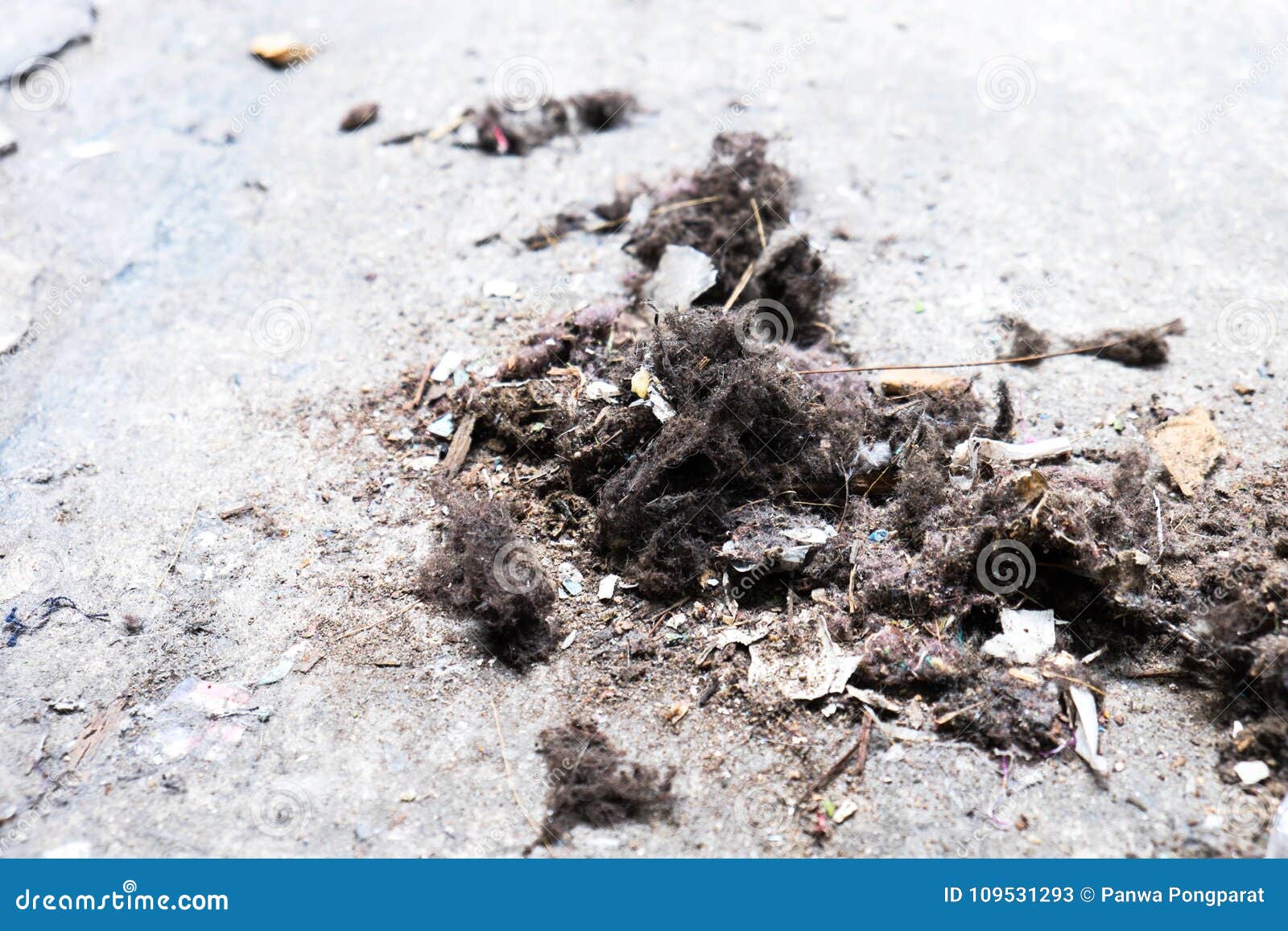 Old dust and garbage stock image. Image of garbage, ground - 109531293