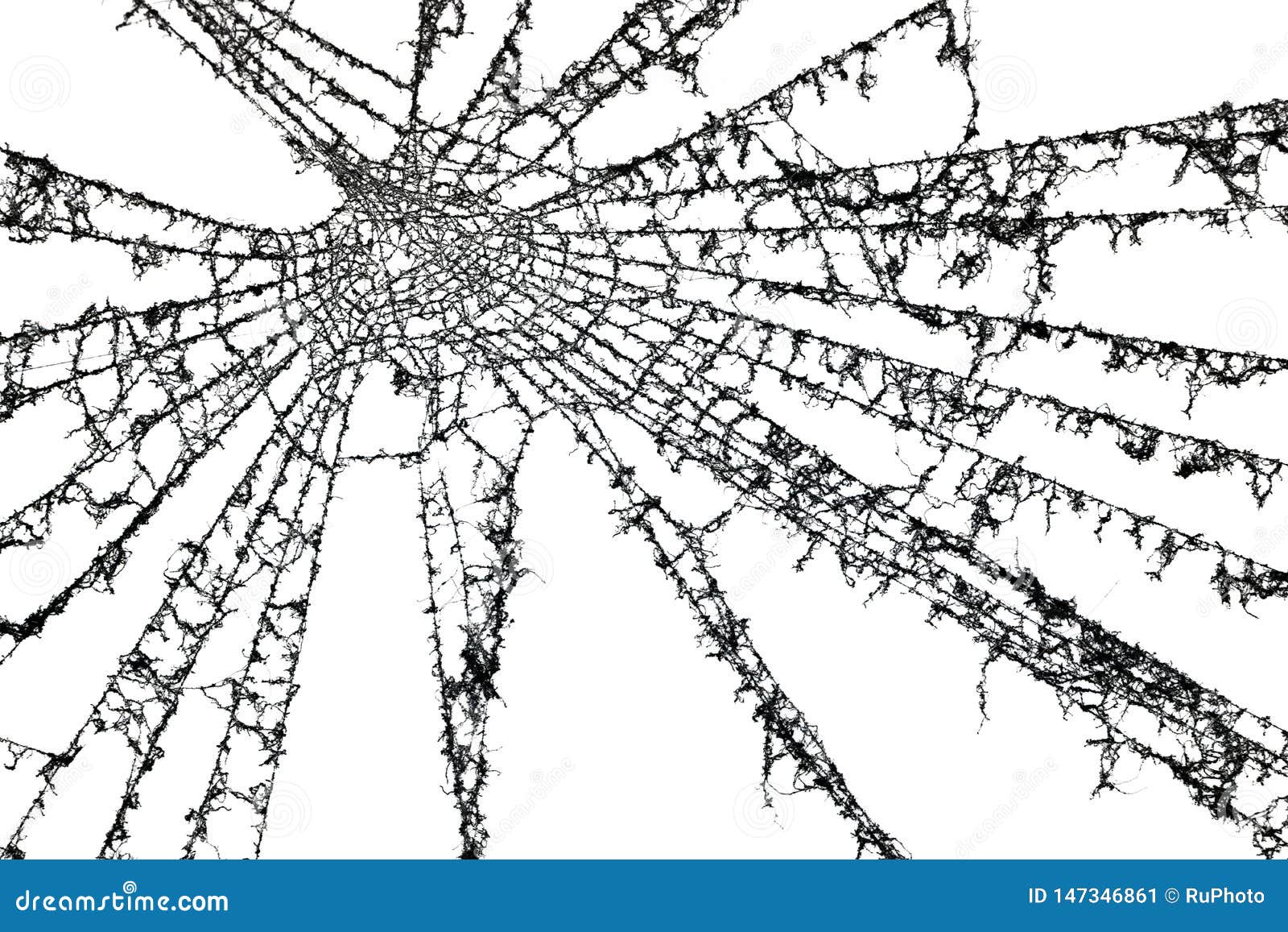 Old Dusty Abandoned Spiderweb / Cobweb Stock Image - Image of dust ...