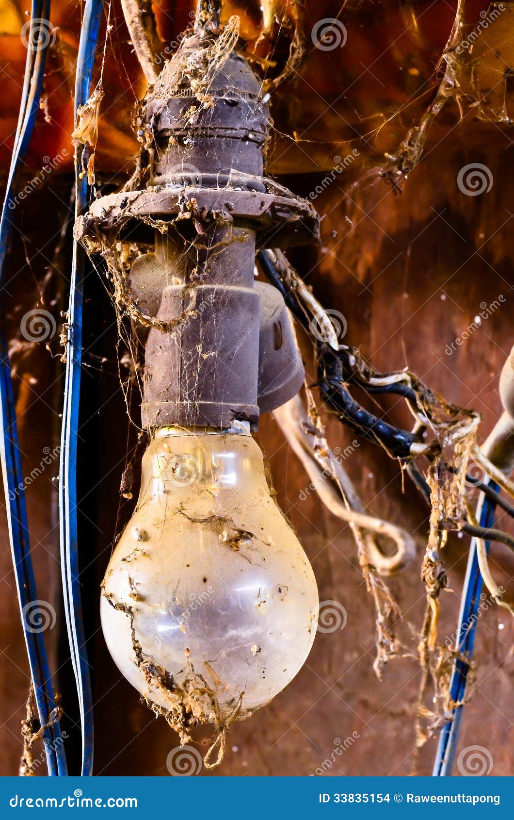 Old dusty light bulb stock photo. Image of decay, dust - 33835154