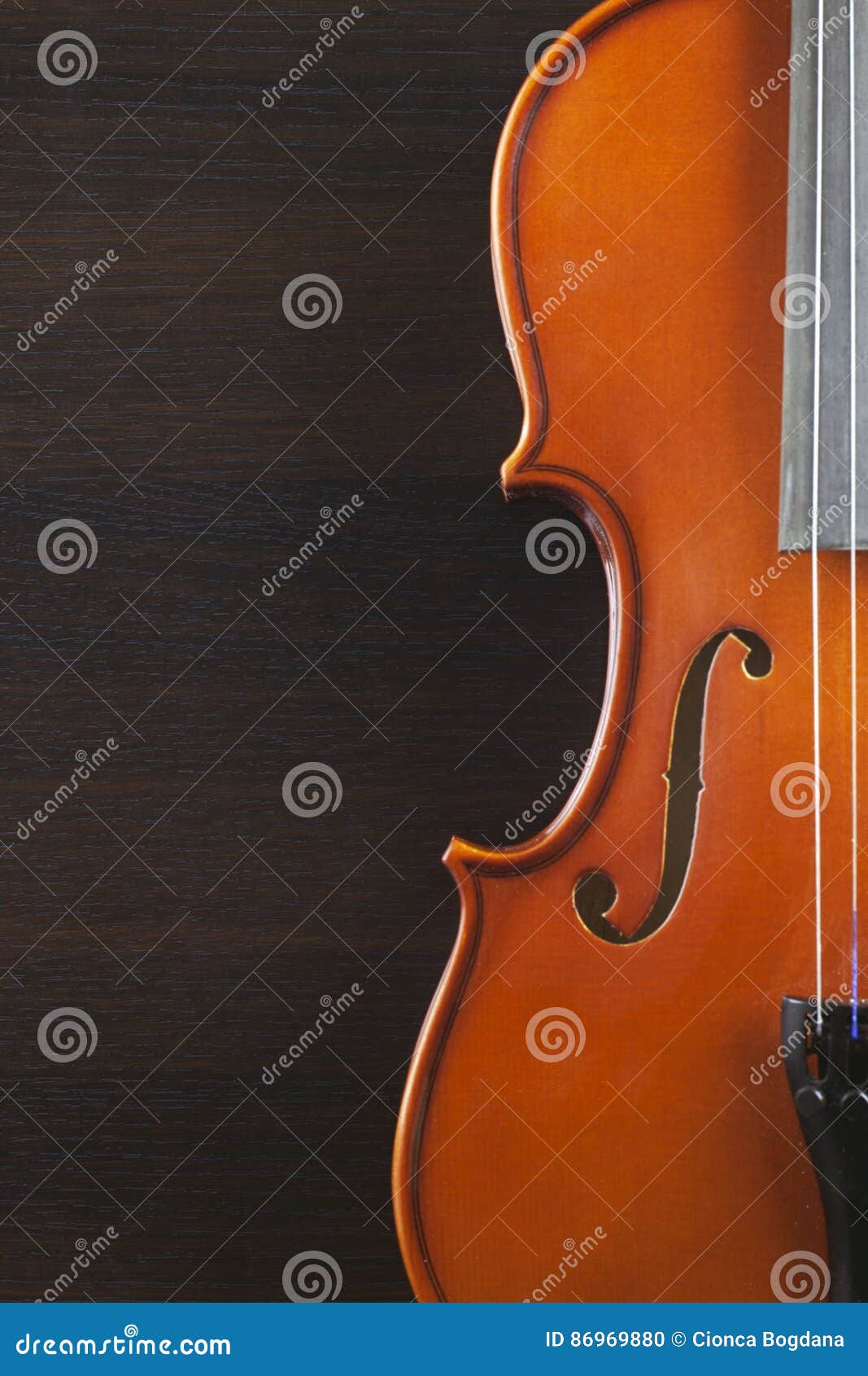 Old and dusty violin stock photo. Image of object, brown - 86969880