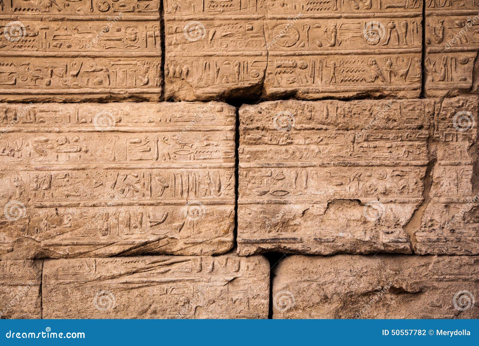 Old egypt hieroglyphs stock photo. Image of stone, carving - 50557782