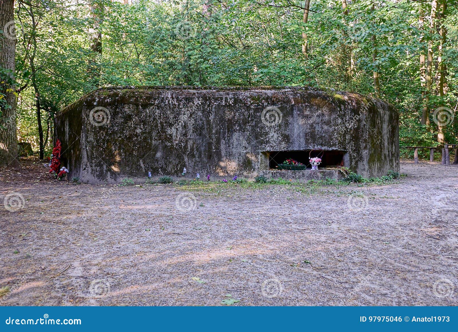 The Old Embrasure of a Concrete Military Pillbox in the Forest Stock ...