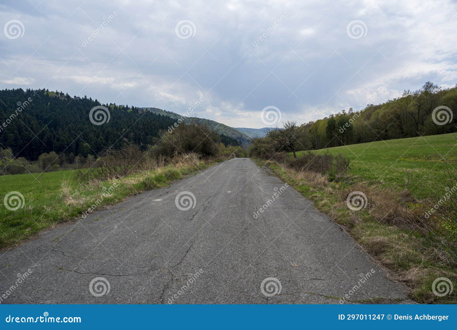 Old and Empty Asphalt Road in the Forest with a Meadow Stock Image ...