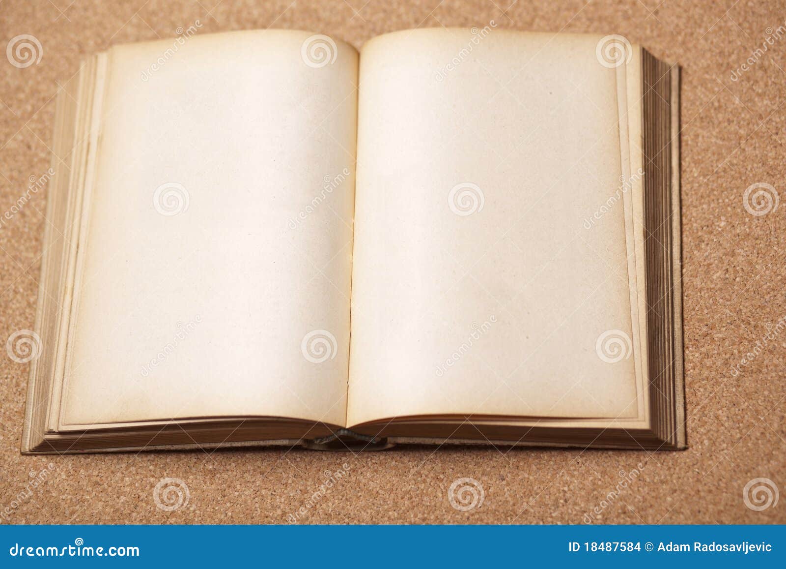 Old Empty Book stock photo. Image of page, literature - 18487584