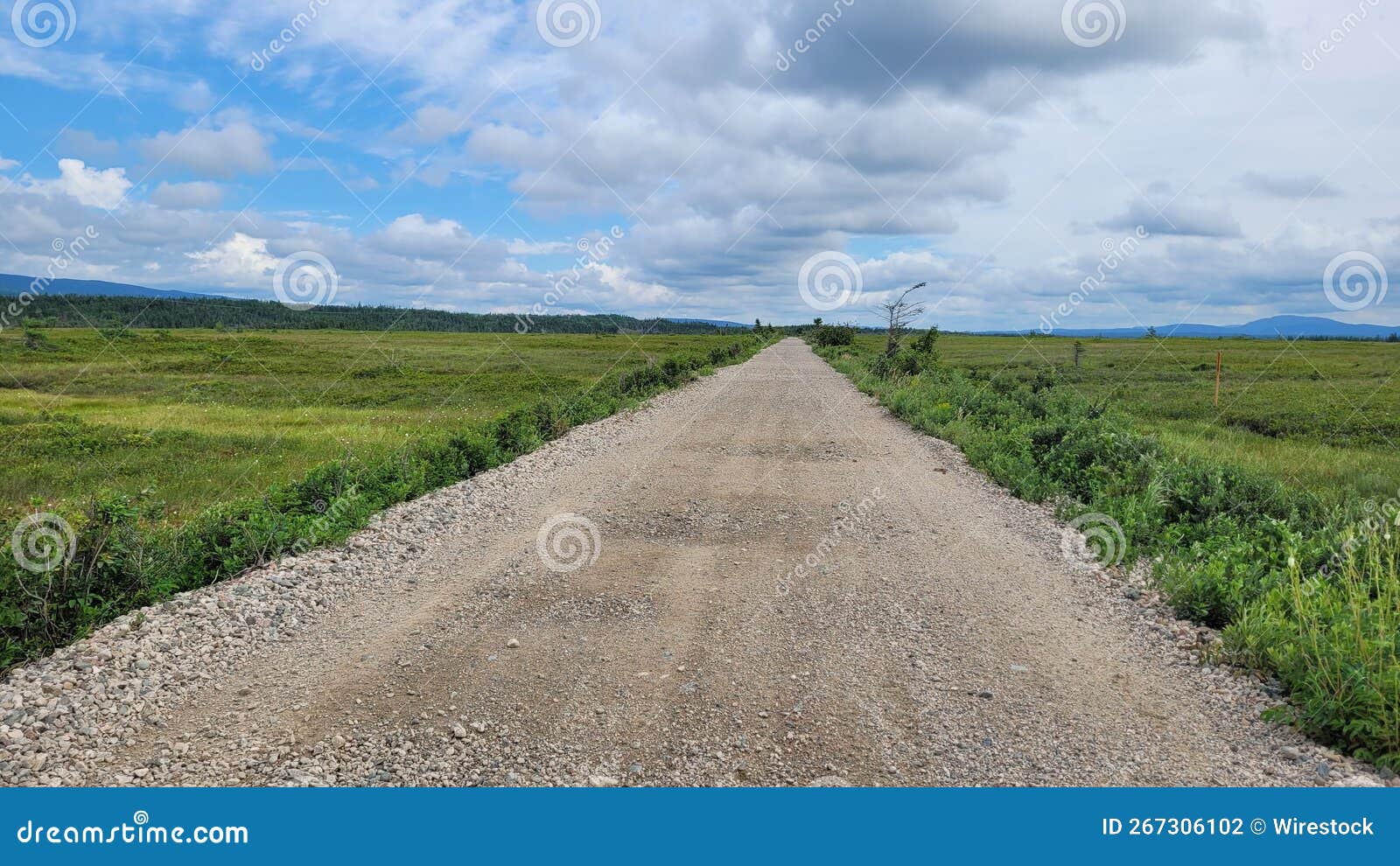 Old Empty Countryside Road Alongside the Green Fields with Mountains in ...