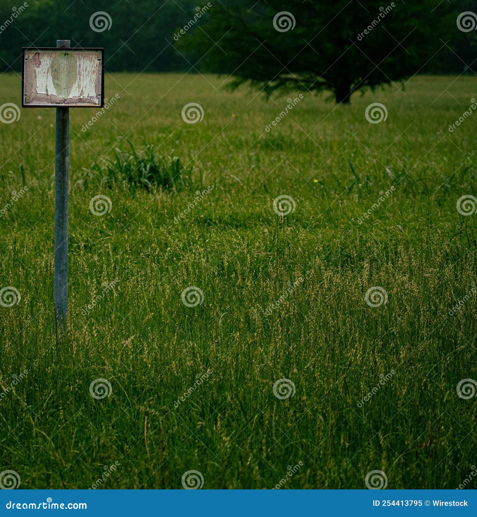 Old Empty Nameplate in the Field Stock Image - Image of lawn ...