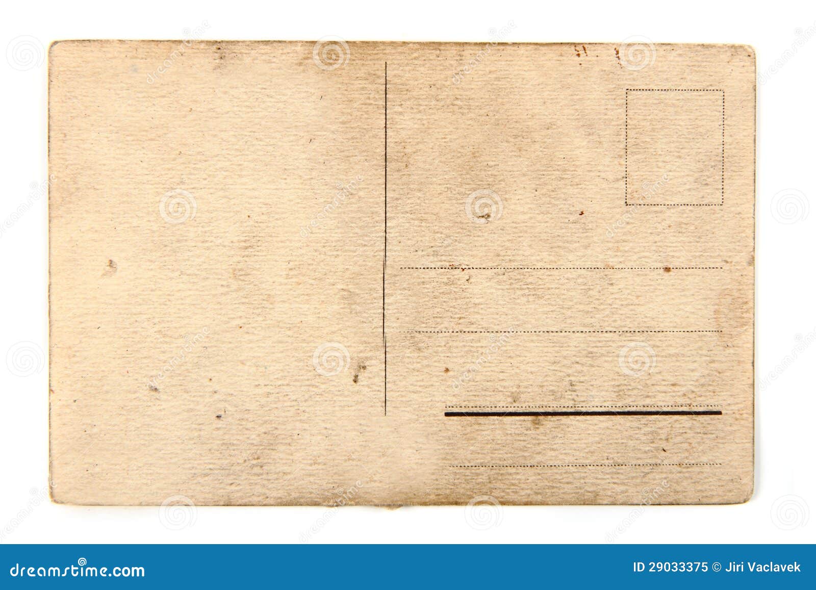 Empty Postcard Background With Oxeye Daisy Flower And Pink Ribbon ...