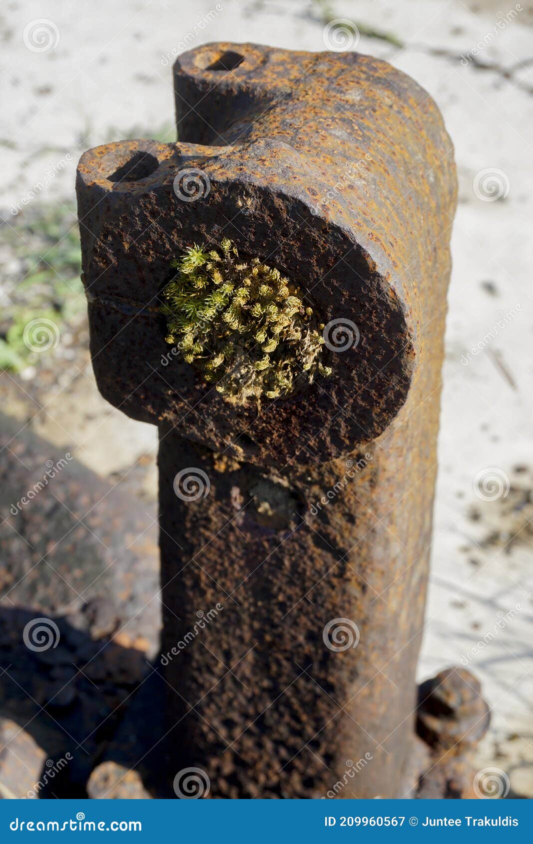 Old engine wrecks stock image. Image of abandoned, technology - 209960567
