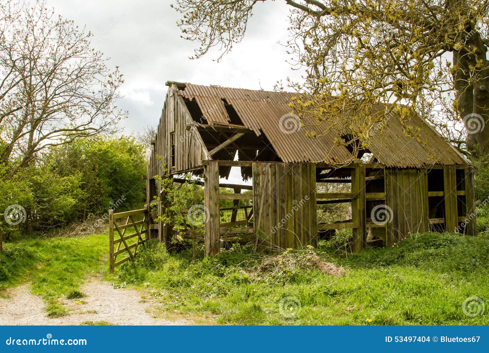 Old English Barn stock photo. Image of aged, broken, country - 53497404