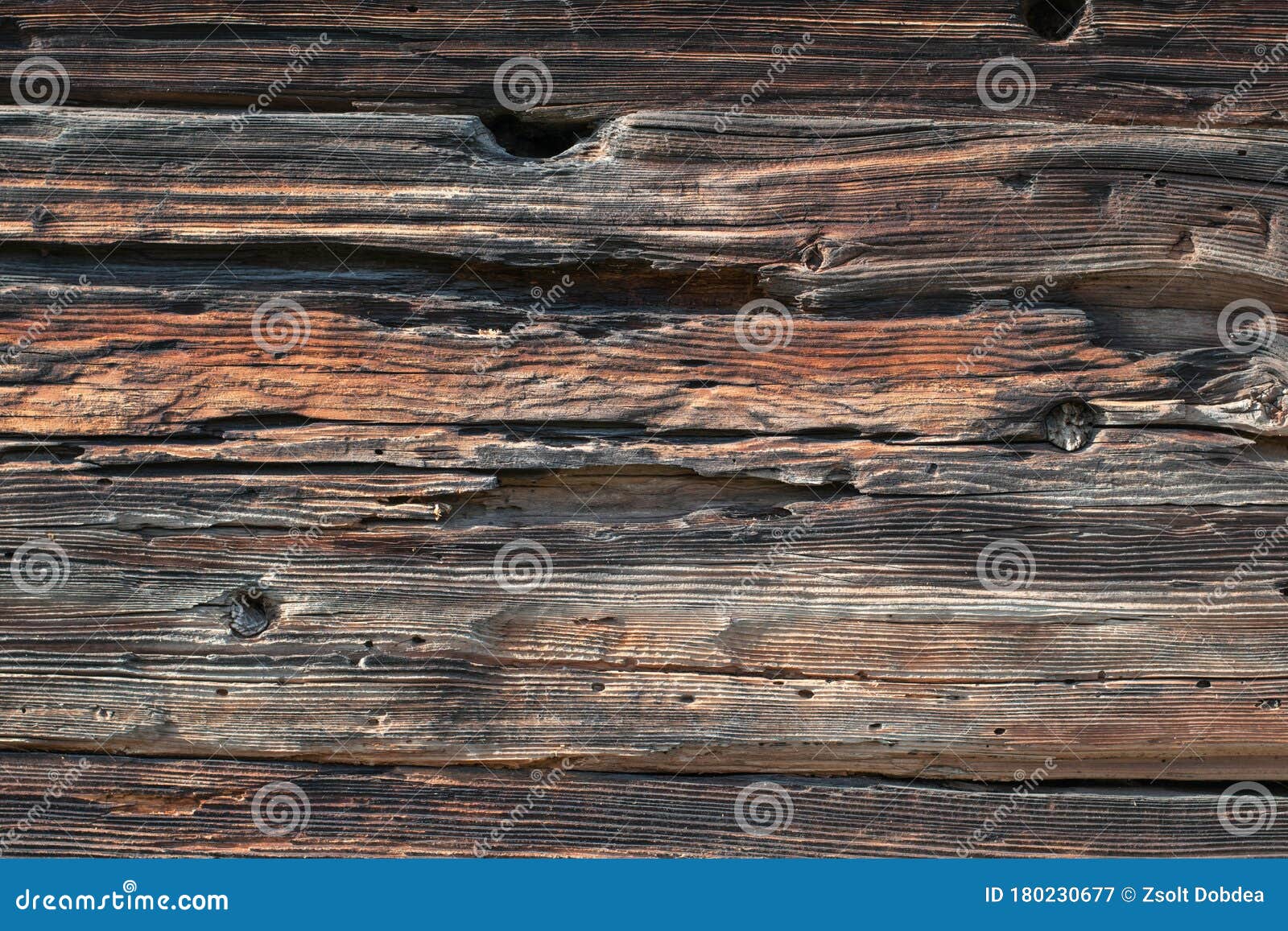 Old Eroded Wood Texture. Old Wood Natural Pattern. Aged Brown Wood ...