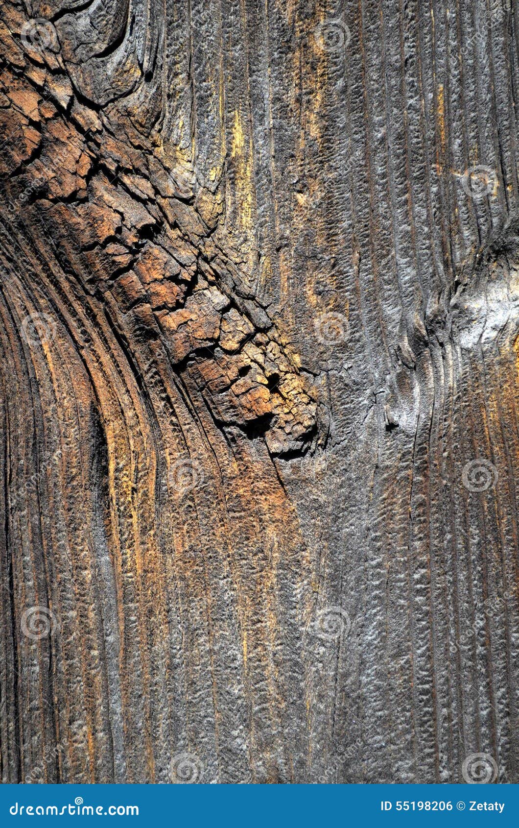 Old eroded wooden board stock photo. Image of panel, background - 55198206