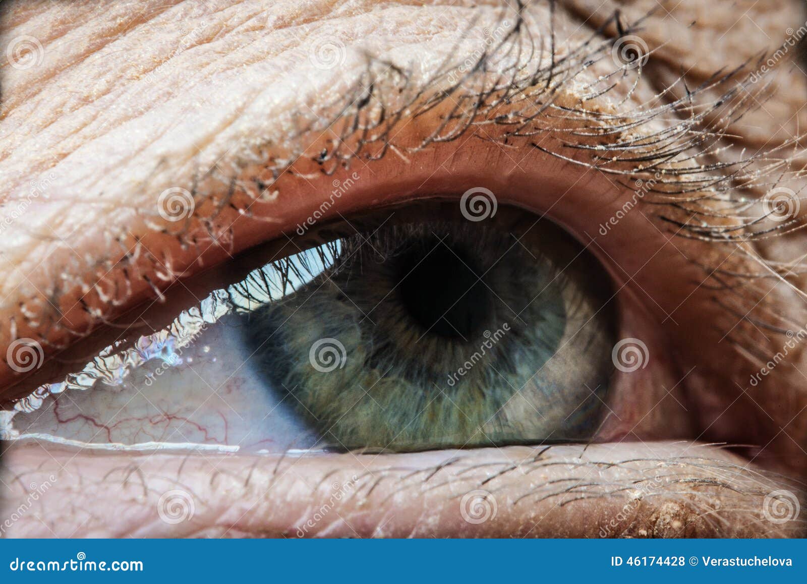 Old eye - detail stock photo. Image of caucasian, problem - 46174428