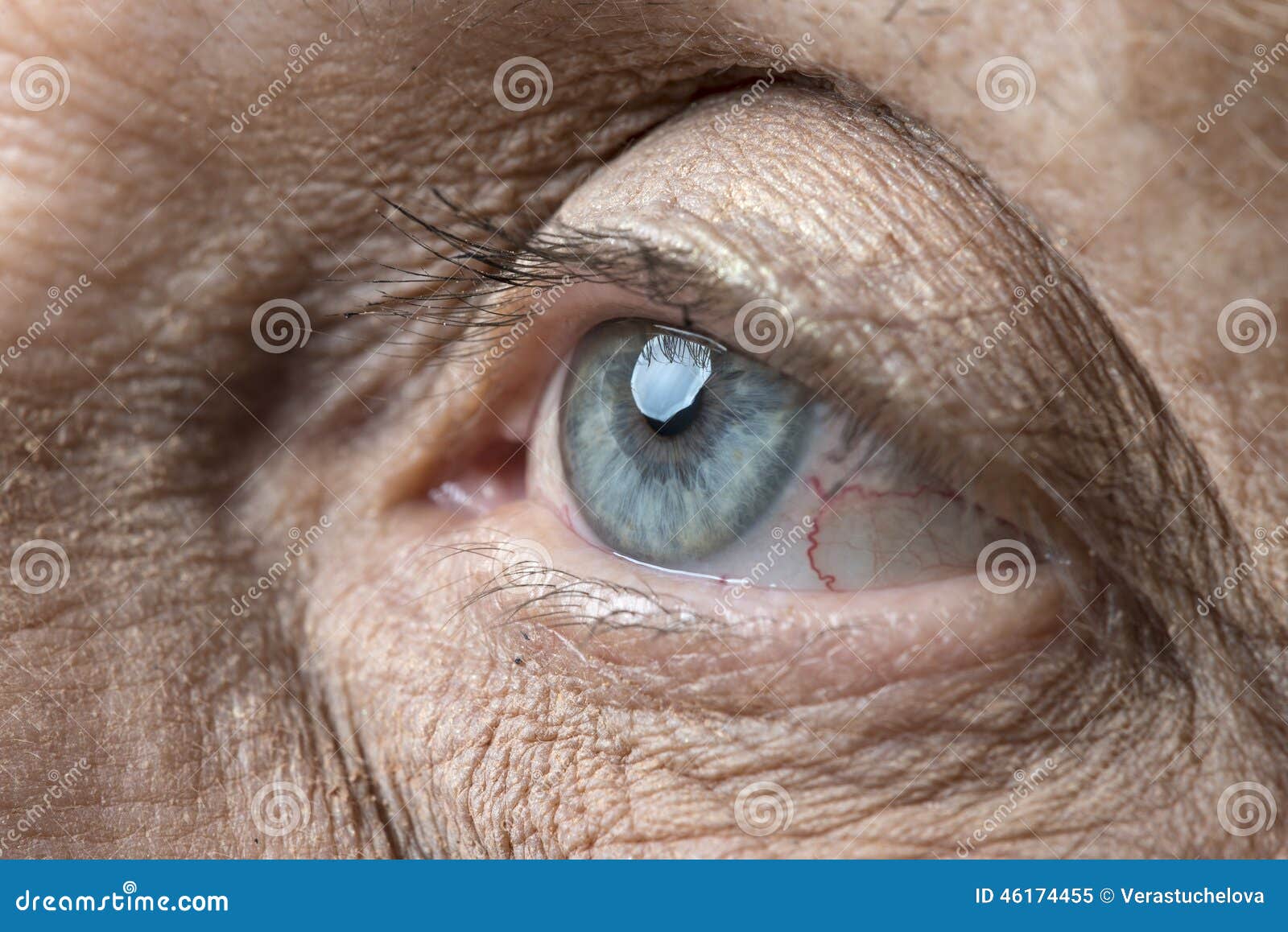 Old eye stock image. Image of lines, optical, elderly - 46174455