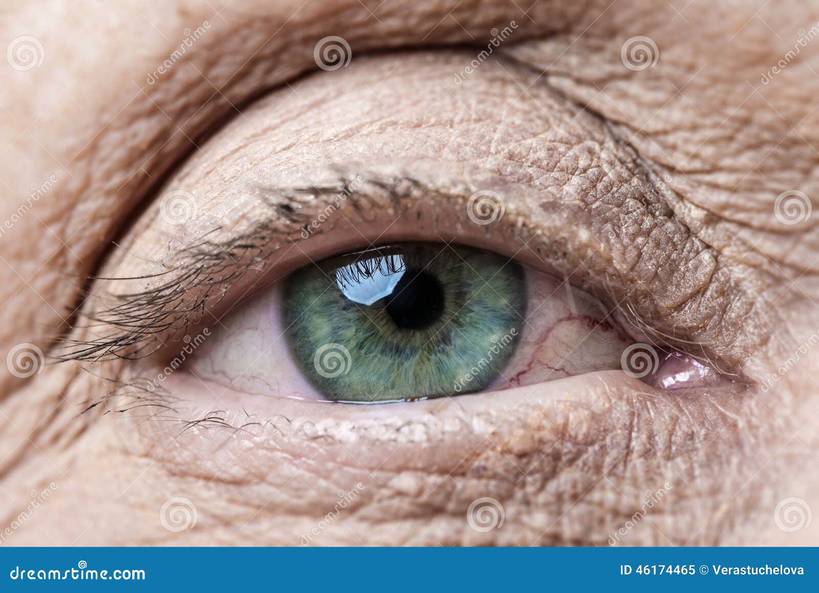 Old eye stock image. Image of people, detail, eyes, healthy - 46174465