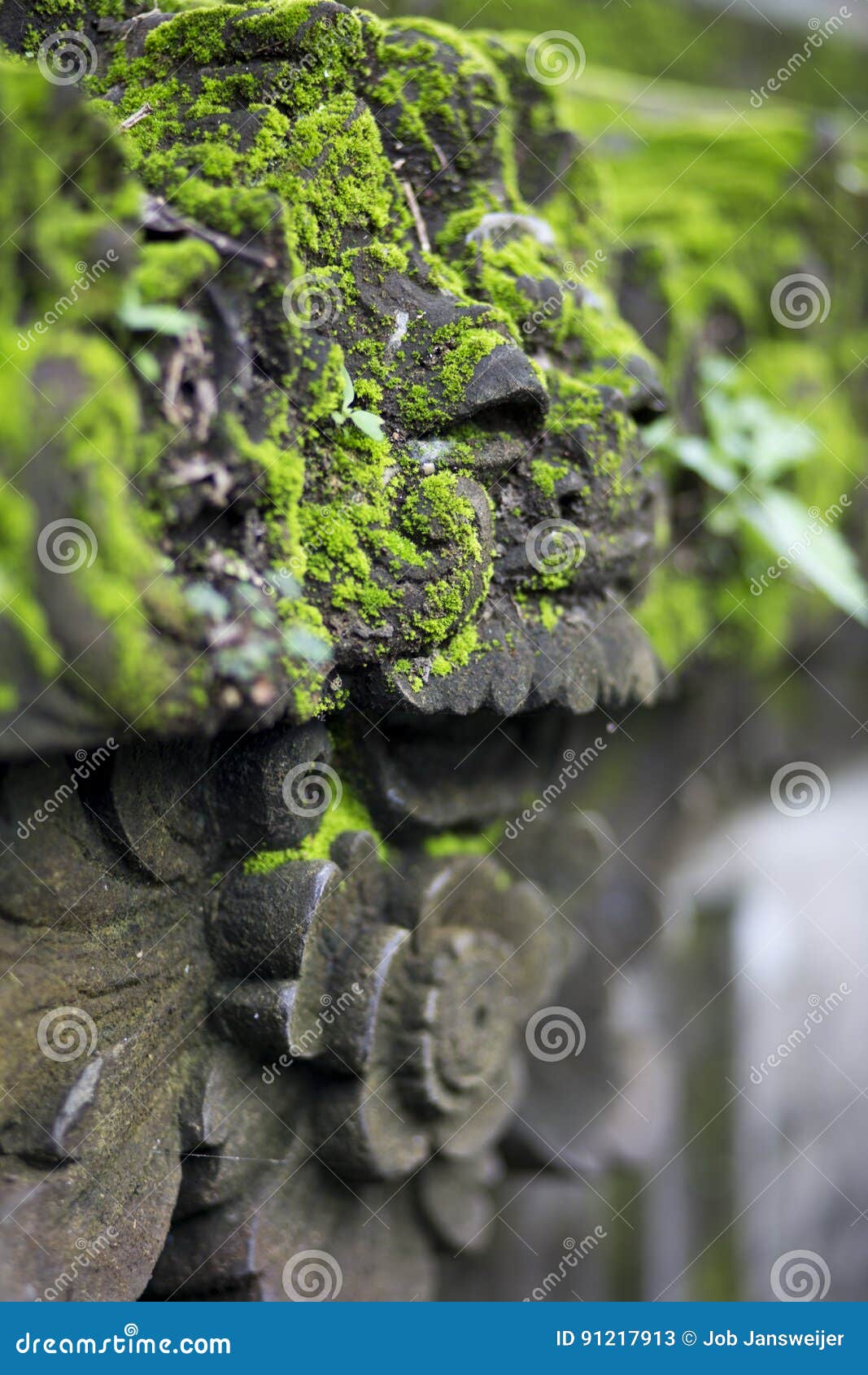 Old Face Statue Overgrown with Green Moss Stock Image - Image of bloom ...