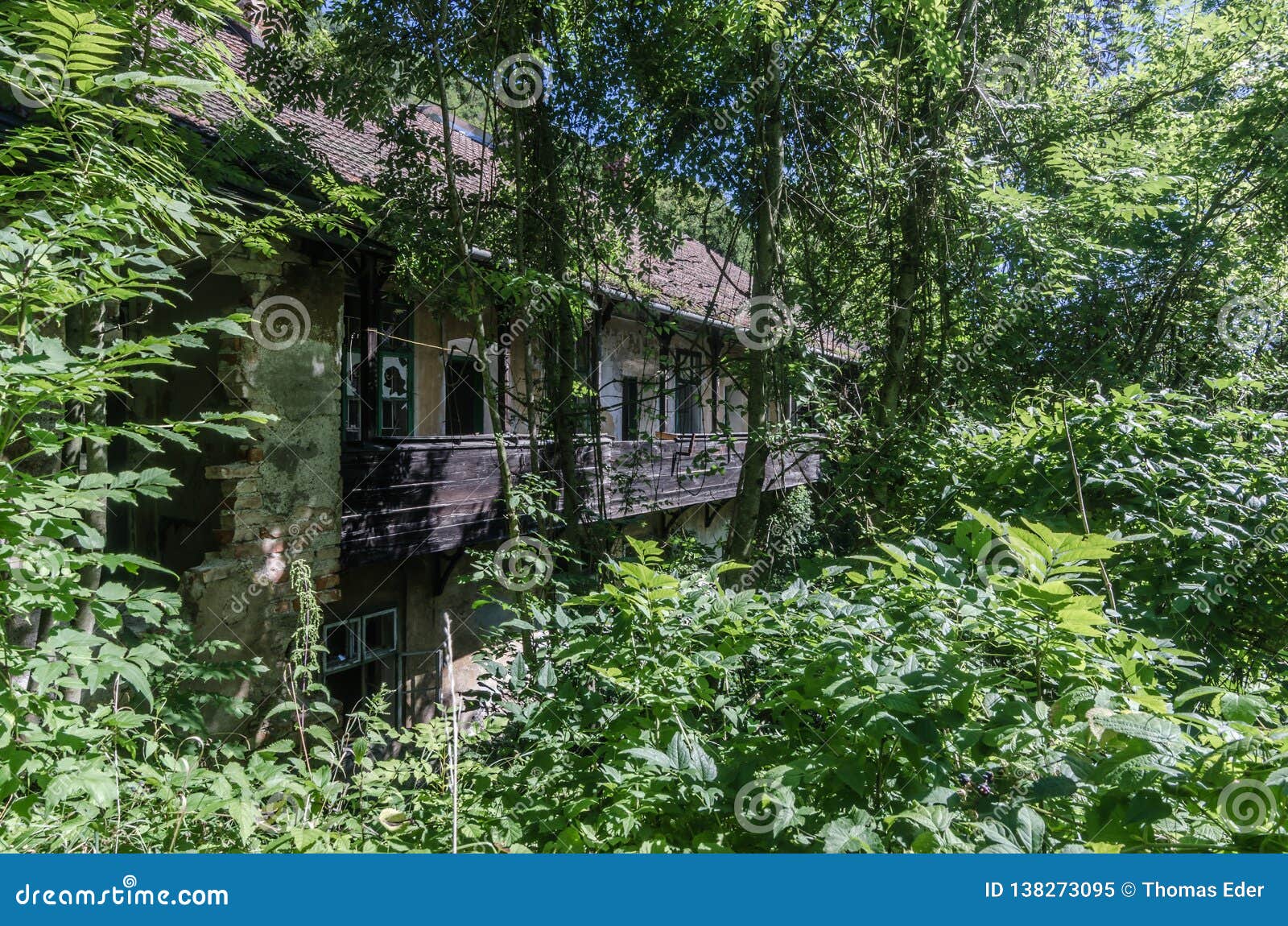 Old Factory Building in a Forest Stock Image - Image of historical ...