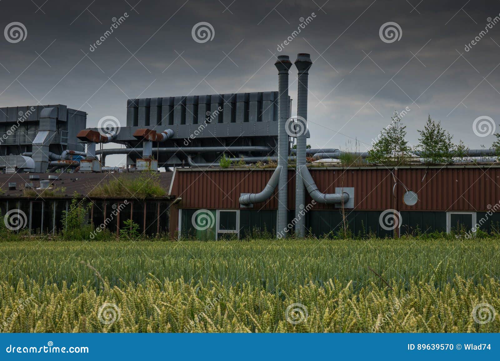 The Old Factory in a Wheat Field Stock Photo - Image of tube, plant ...
