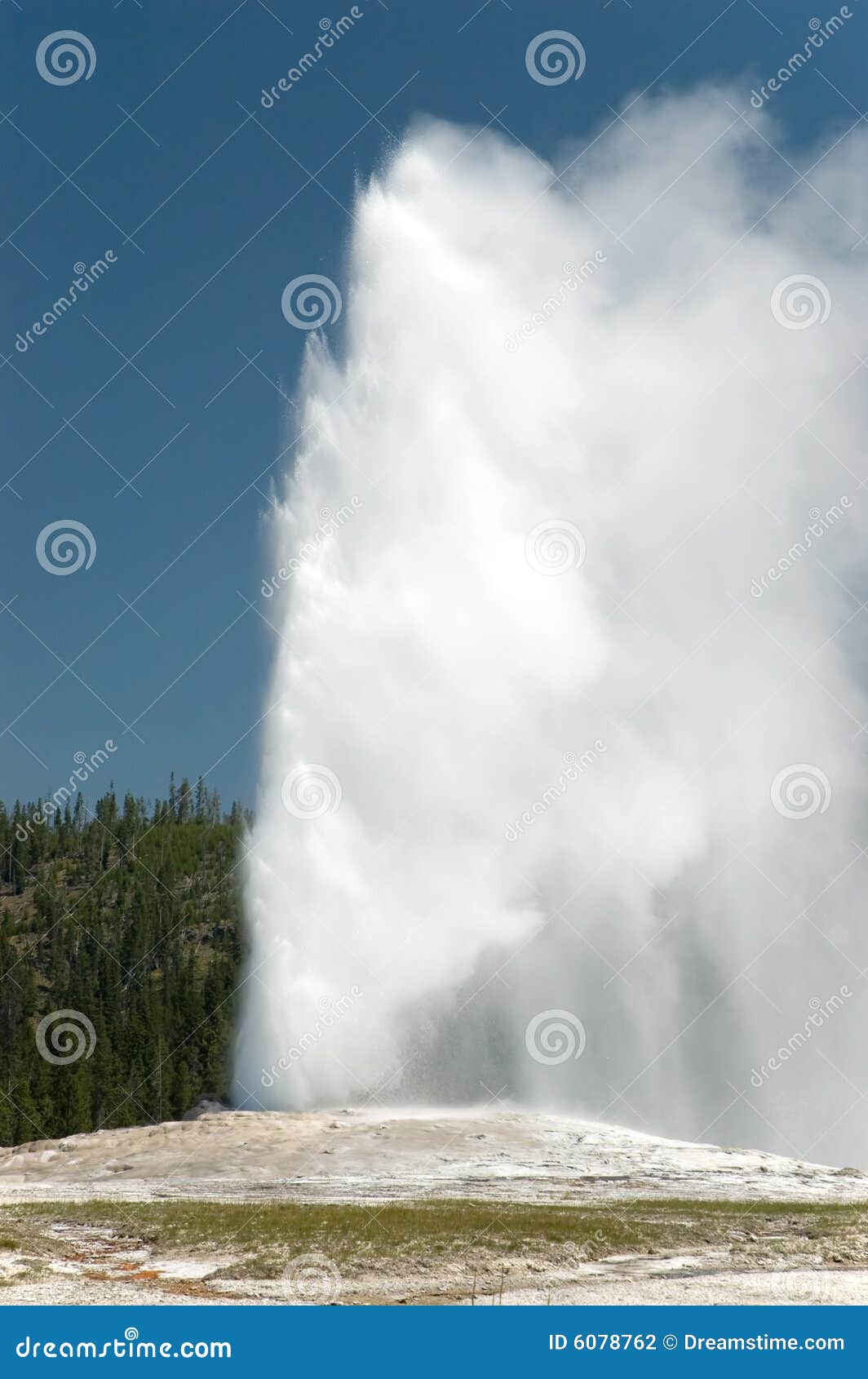 Old Faithful Geyser stock photo. Image of park, mist, yellowstone - 6078762