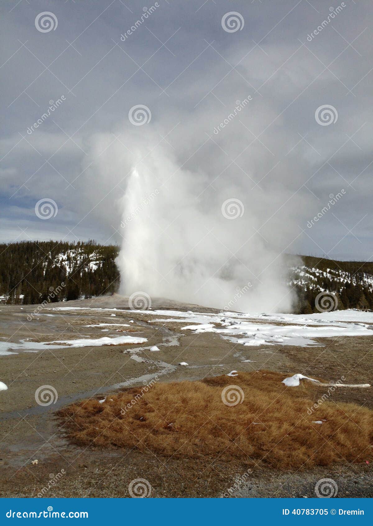 Old Faithful Geyser stock image. Image of yellowstone - 40783705