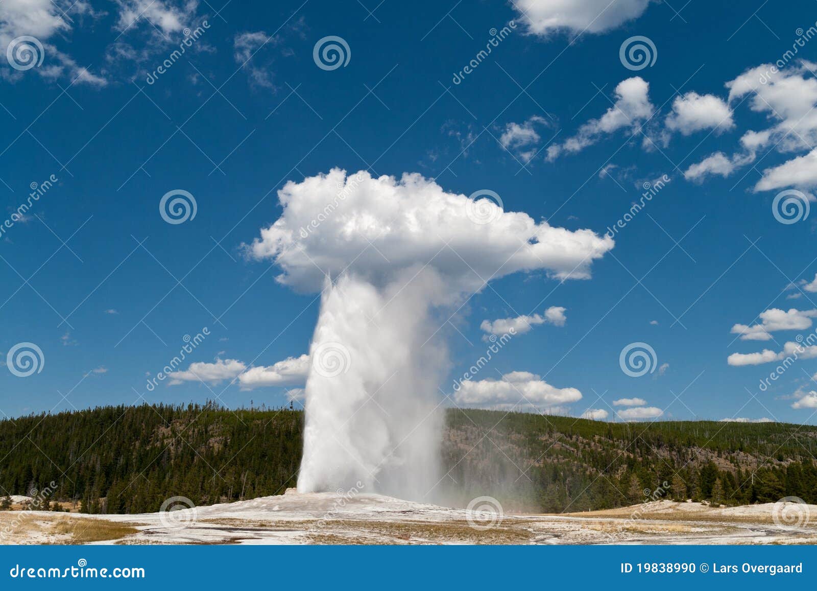 Old Faithful, Yellowstone stock photo. Image of heat - 19838990